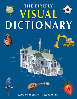 Visual Explanations: Images and Quantities, Evidence and Narrative